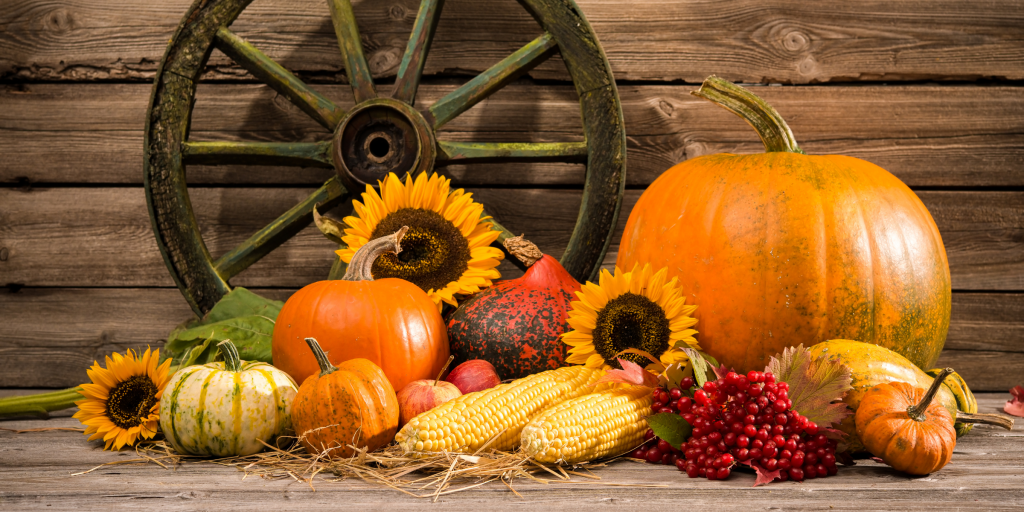 Happy Canadian Thanksgiving, Eh! - Cultural Mixology